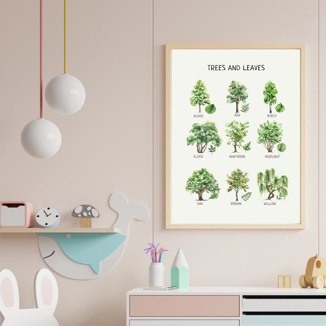 Trees and Leaves Educational Poster, Montessori Poster, Homeschool ...