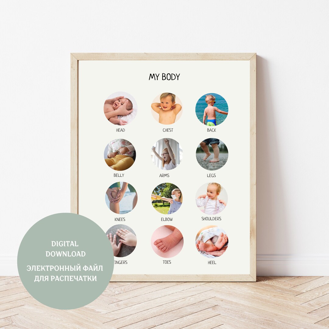 My Body Educational Poster, Printable Wall Art, Body Parts Poster ...