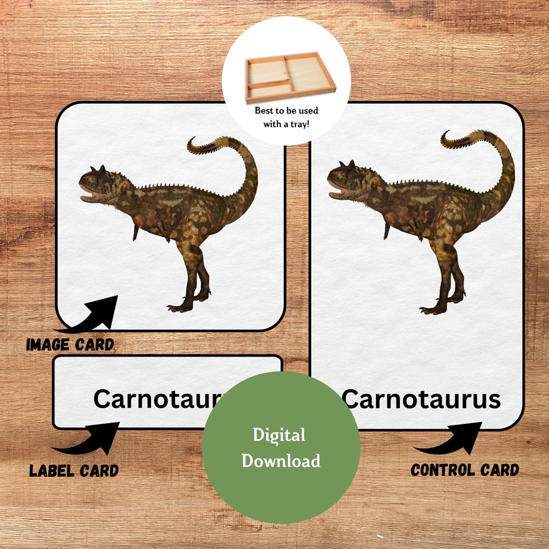 24 Dinosaur Nomenclature Cards, 3 Part Montessori Cards, Preschool ...