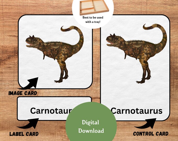 Montessori Dinosaur 3 Part Cards - Etsy Ireland