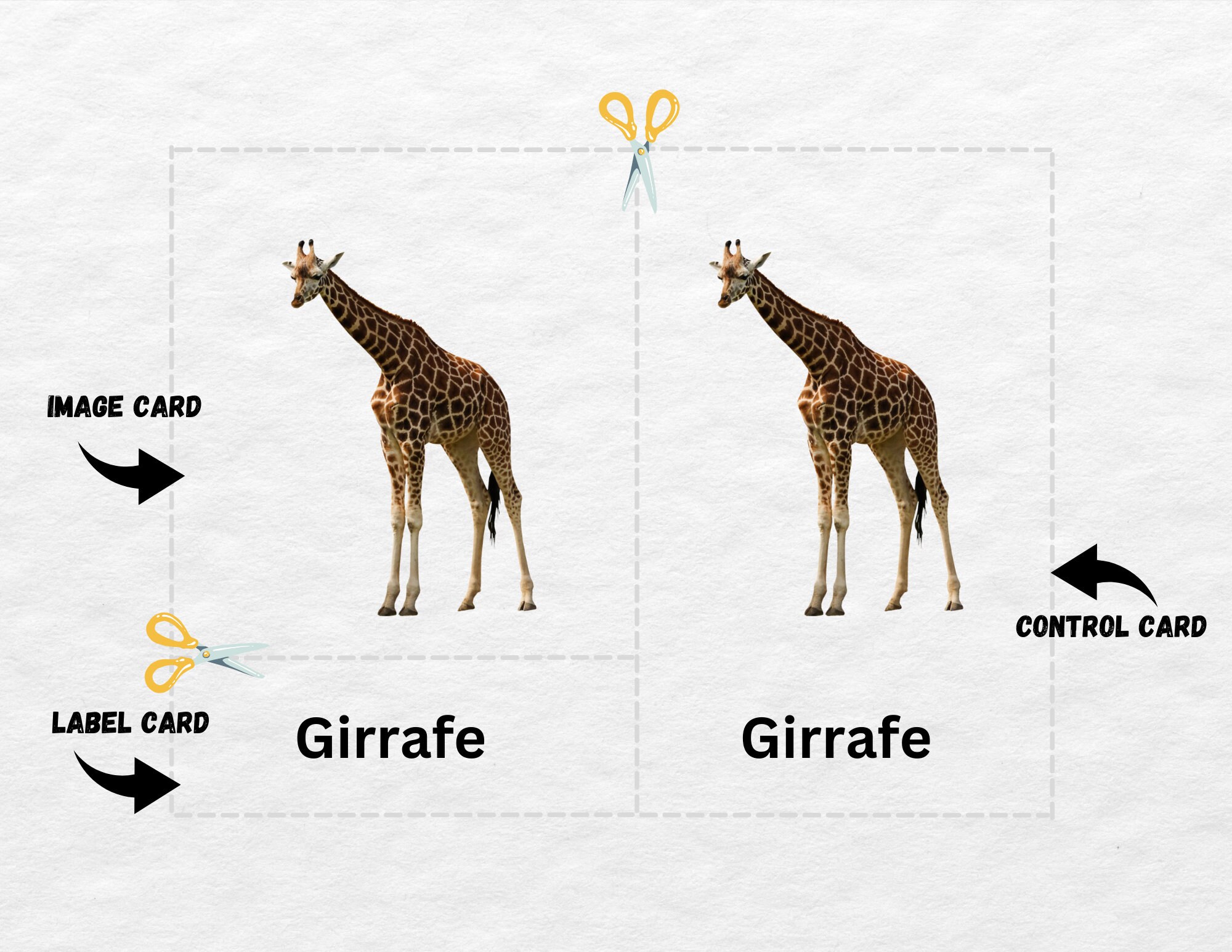 Wild Animals, 3 Part Montessori Cards, 12 Printable Safari LTD Toobs ...