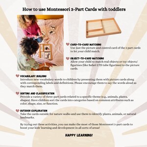 Counting Numbers 1-10, 3 Part Montessori Cards, Preschool Vocabulary ...