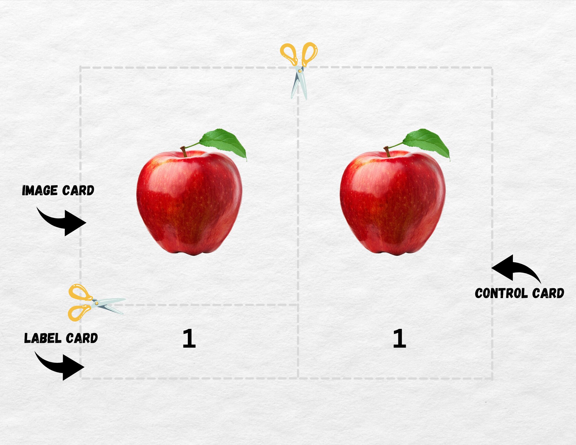 Counting Numbers 1-10, 3 Part Montessori Cards, Preschool Vocabulary ...