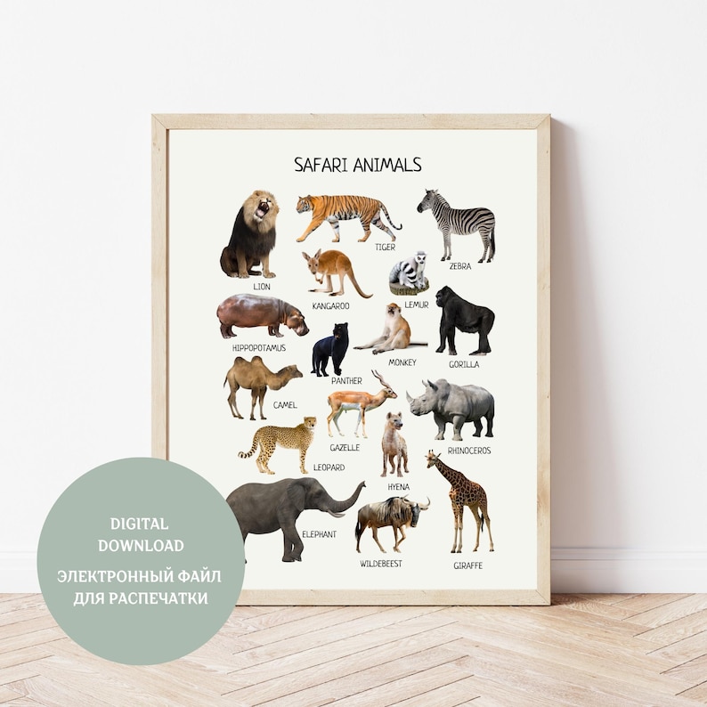 Safari Animals Educational Poster, Montessori Printable Animal Decor ...