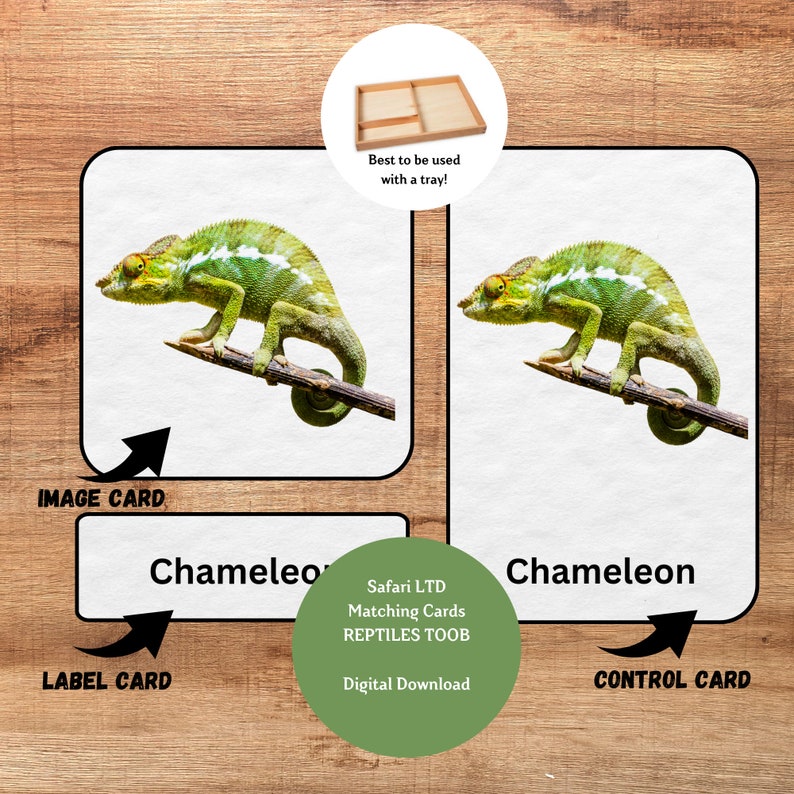 Reptiles, 3 Part Montessori Cards, 4 Printable Safari LTD Toobs ...
