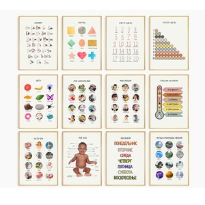 Fruits & Vegetables, 3 Part Montessori Cards, 8 Safari LTD Toobs ...