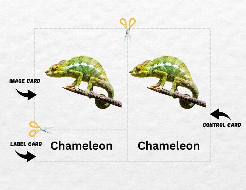 Reptiles, 3 Part Montessori Cards, 4 Printable Safari LTD Toobs ...