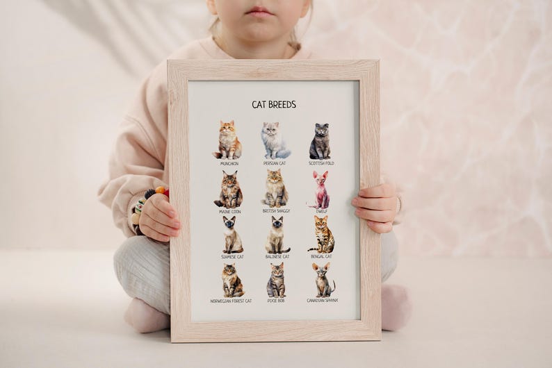 Cat Breeds Poster, Educational Learning Material, Montessori Wall Art ...