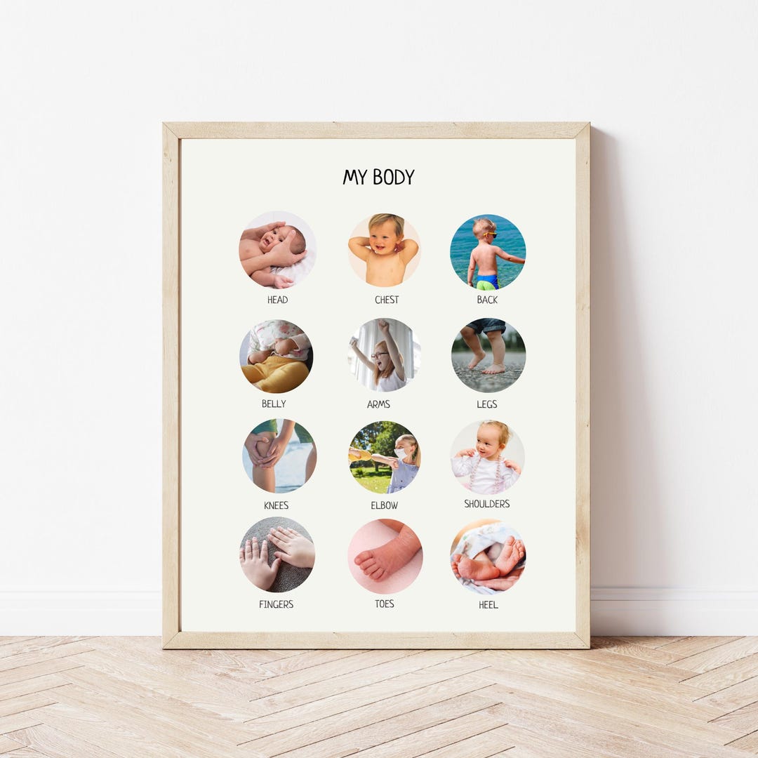 My Body Educational Poster, Kids Wall Decor, My Body Parts, Montessori ...