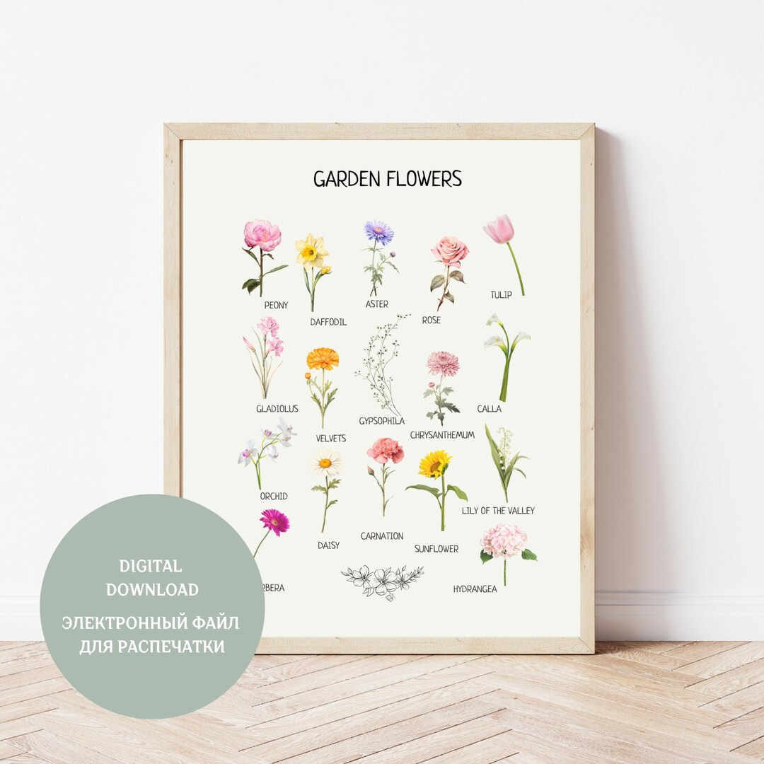 Educational Flowers Poster: Montessori Classroom Decor (digital ...