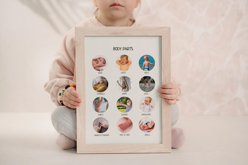 Body Parts Educational Poster: Kids Anatomy Art (digital Download) - Etsy