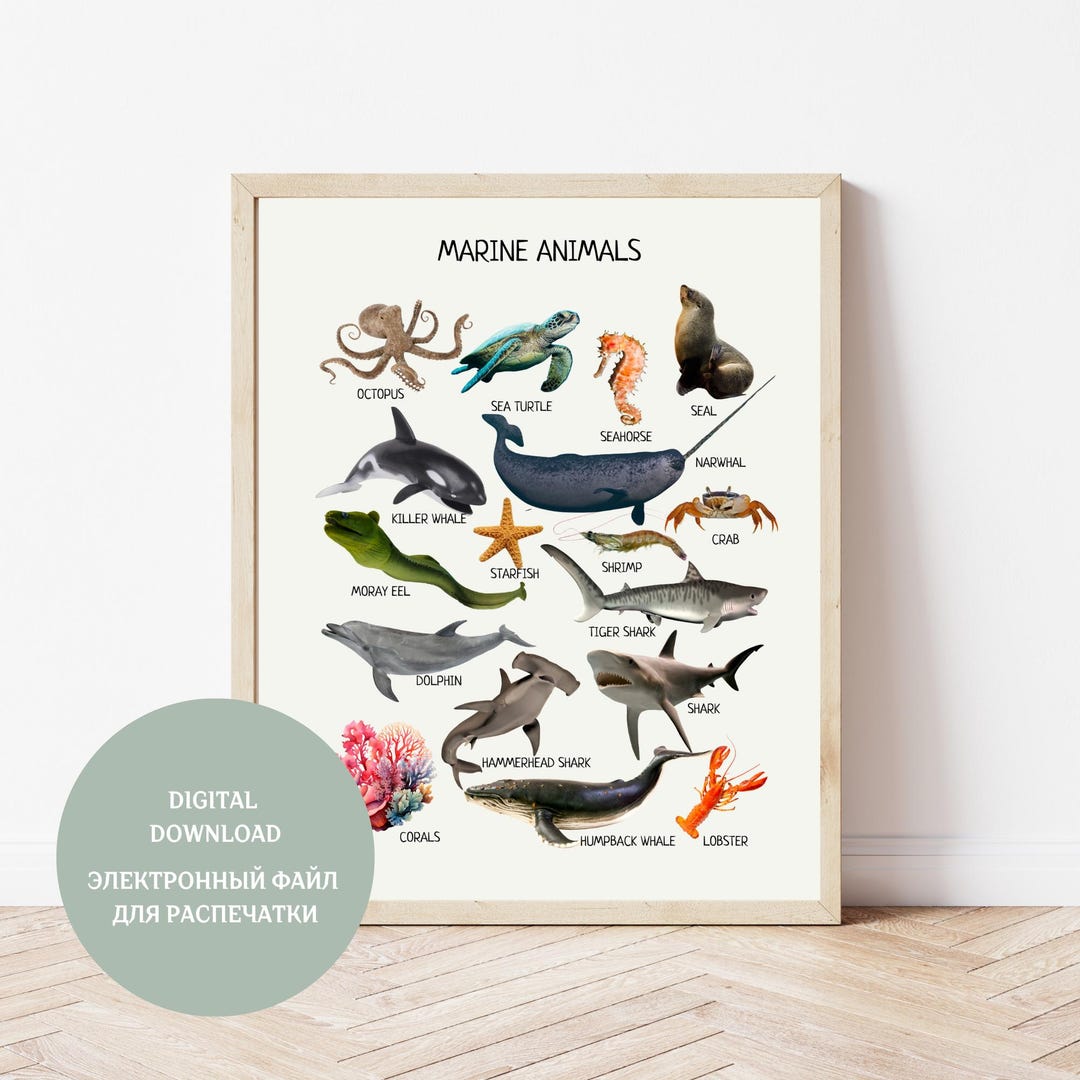 Marine Animals Poster, Under the Sea Print, Educational Ocean Species ...