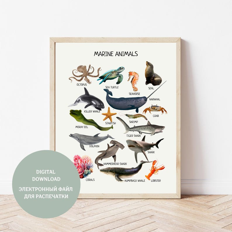 Marine Animals Poster, Under the Sea Print, Educational Ocean Species ...