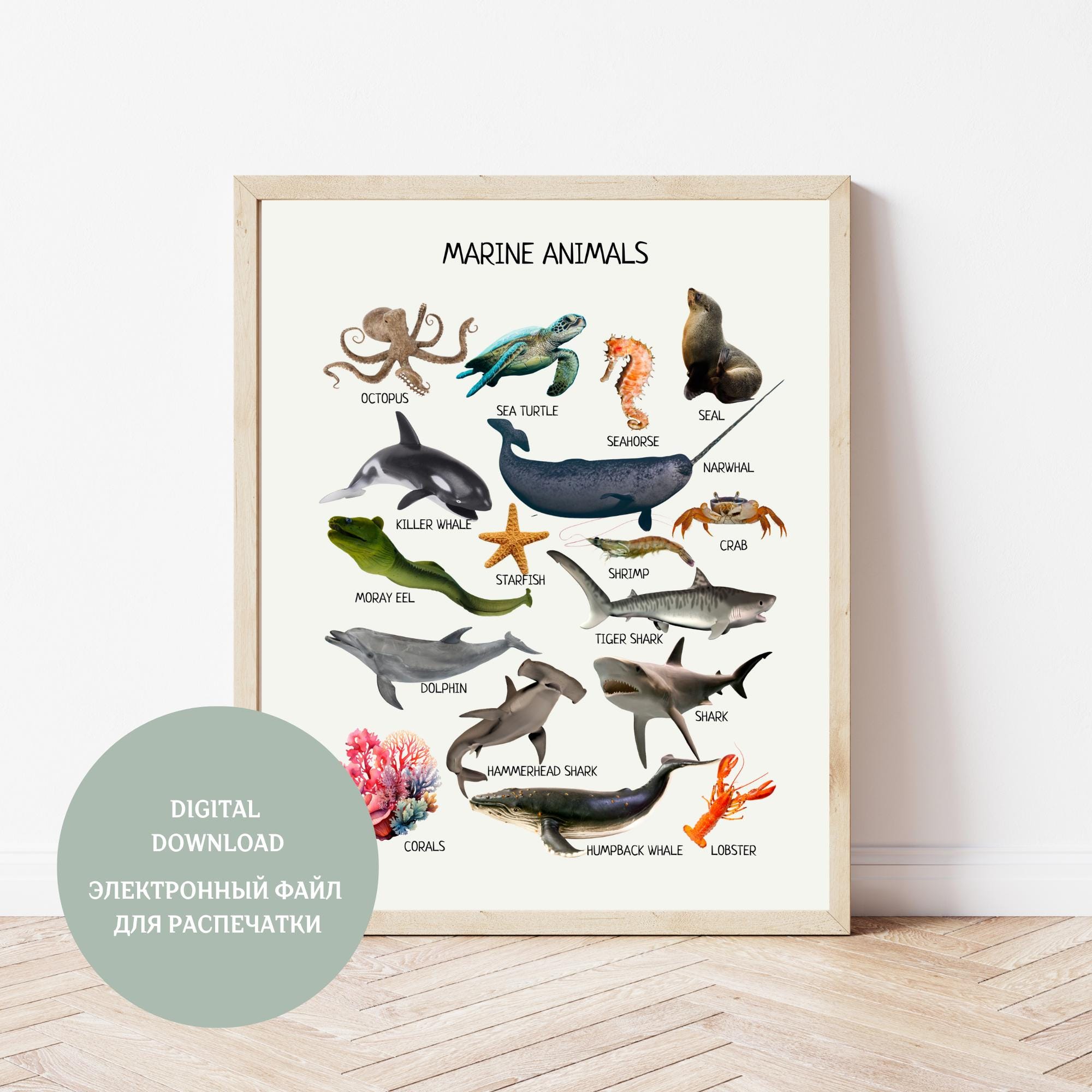 Marine Animals Poster, Under the Sea Print, Educational Ocean Species ...