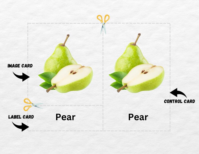 Fruits & Vegetables, 3 Part Montessori Cards, 8 Safari LTD Toobs ...