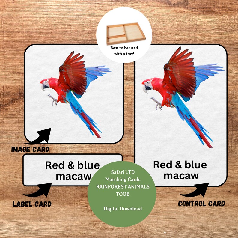 Rainforest Animals, 3 Part Montessori Cards, 11 Safari LTD Toobs ...