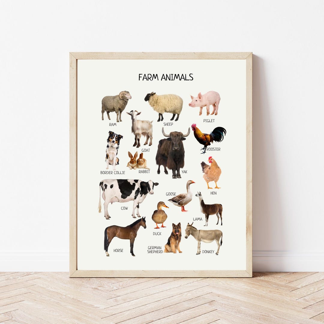 Farm Animals Educational Poster, Montessori Print, Domestic Animals ...