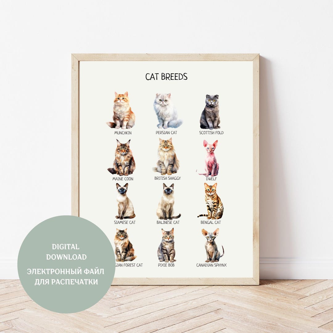 Cat Breeds Poster, Educational Learning Material, Montessori Wall Art ...