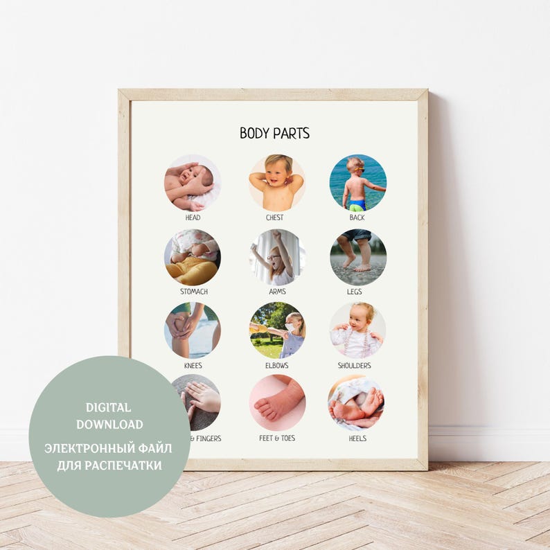 My Body Educational Poster, Printable Wall Art, Body Parts Poster ...