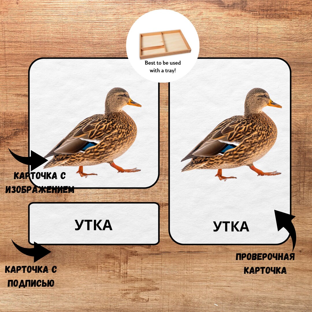 Farm Animals, 3 Part Russian Montessori Cards, Preschool Vocabulary ...