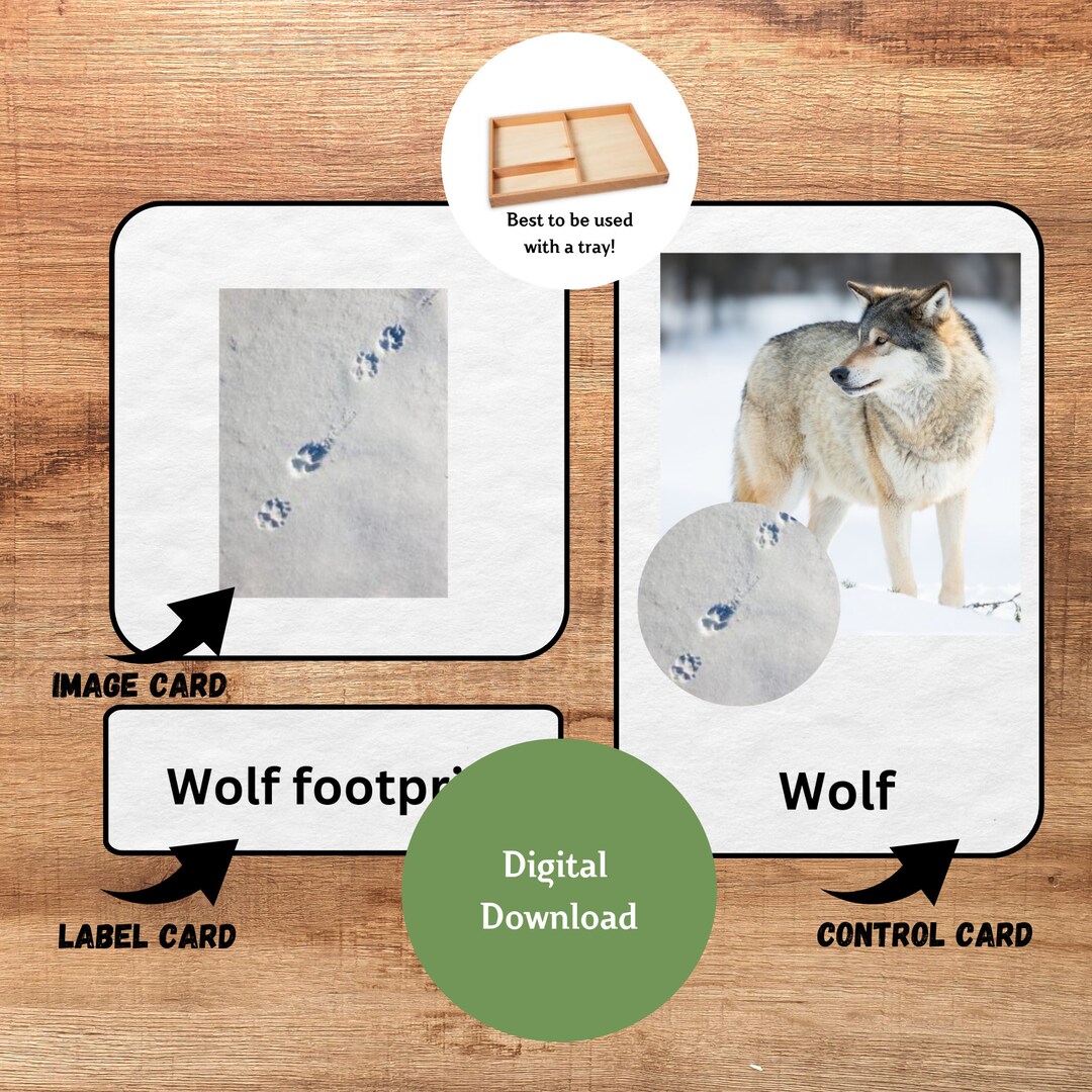 9 Winter Animal Tracks Nomenclature Cards, 3 Part Montessori Cards ...