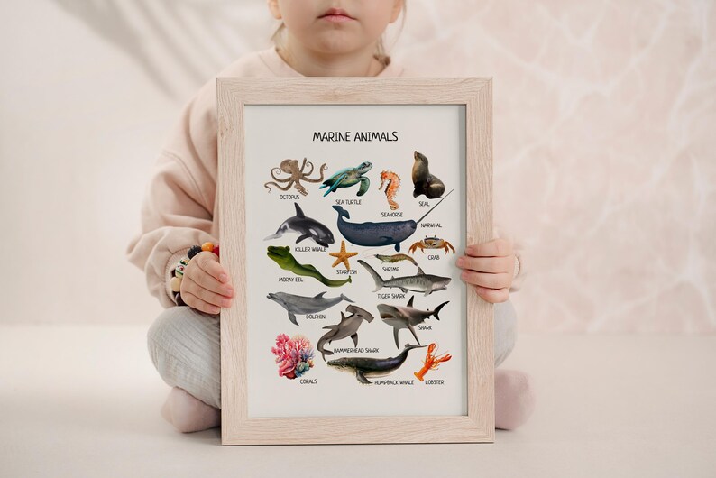 Marine Animals Poster, Under the Sea Print, Educational Ocean Species ...