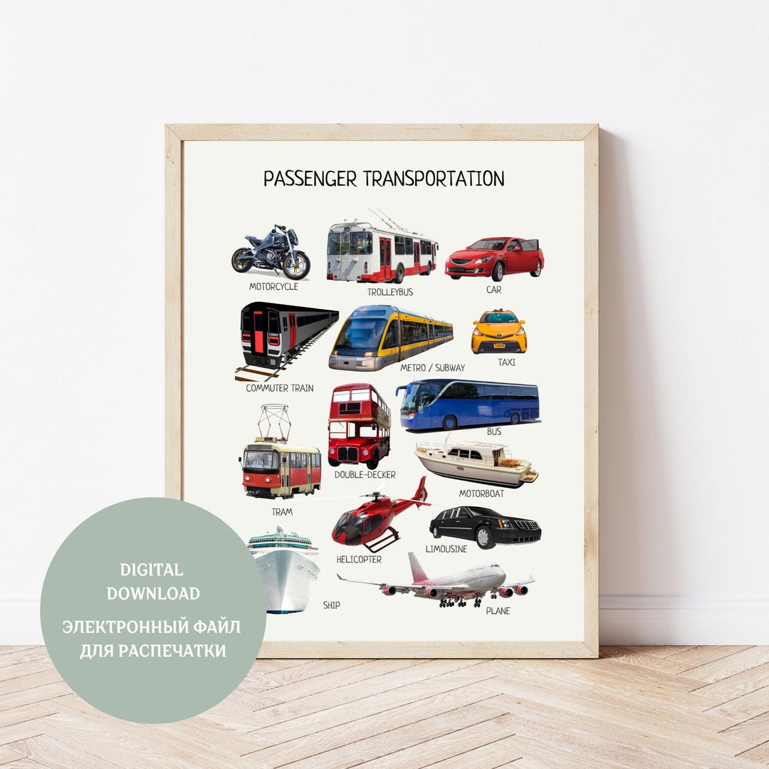 Passenger Transport Poster: Educational Vehicles Poster (digital ...