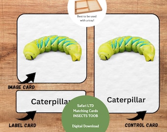 Montessori Insect 3 Part Cards - Etsy