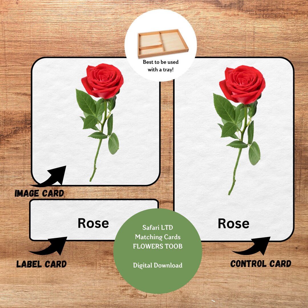Flowers Nomenclature, 3 Part Montessori Cards, 8 Safari LTD Toobs ...