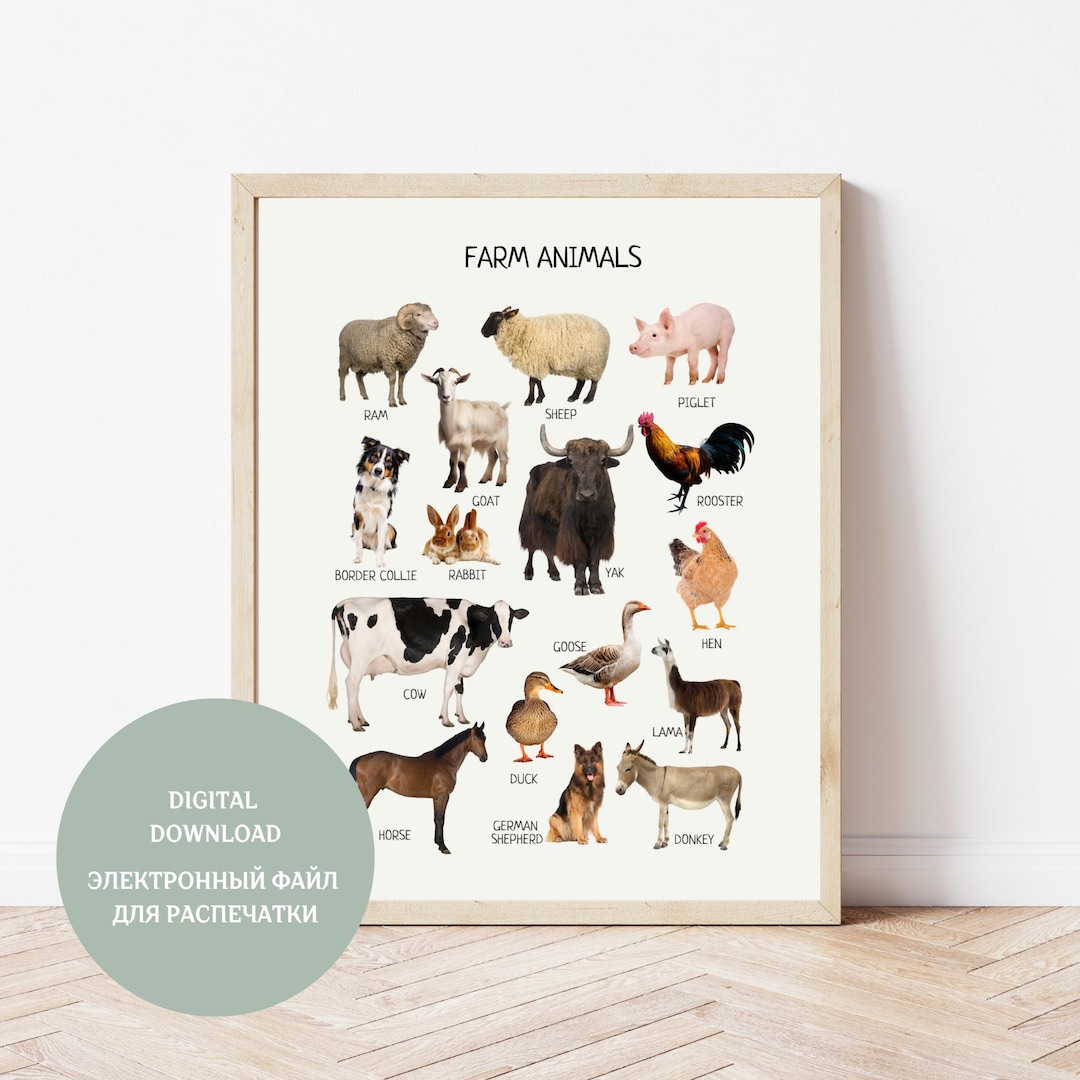 Farm Animals Poster, Montessori Educational Poster, Kids Nursery Room ...