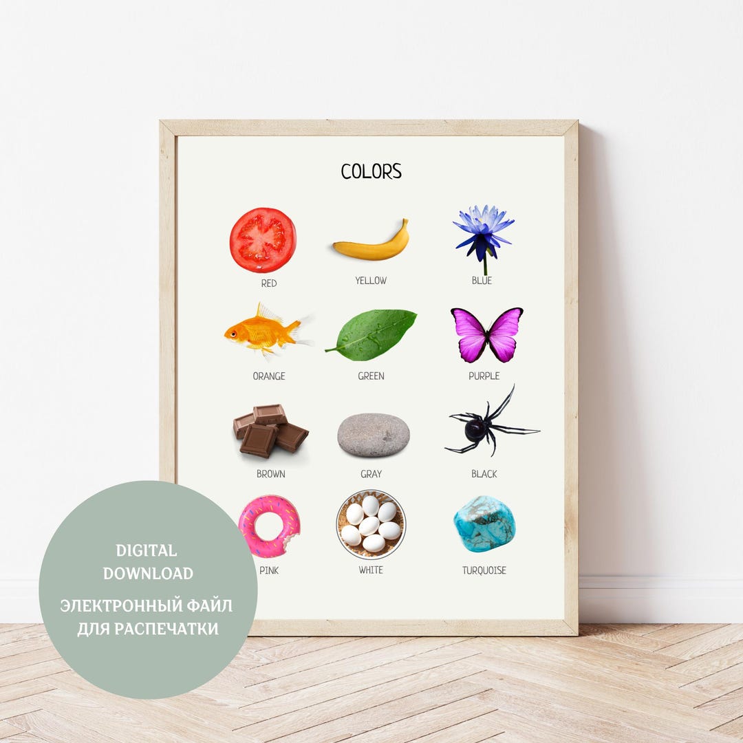 Colors Educational Poster: Montessori Classroom Learning Decor (digital ...