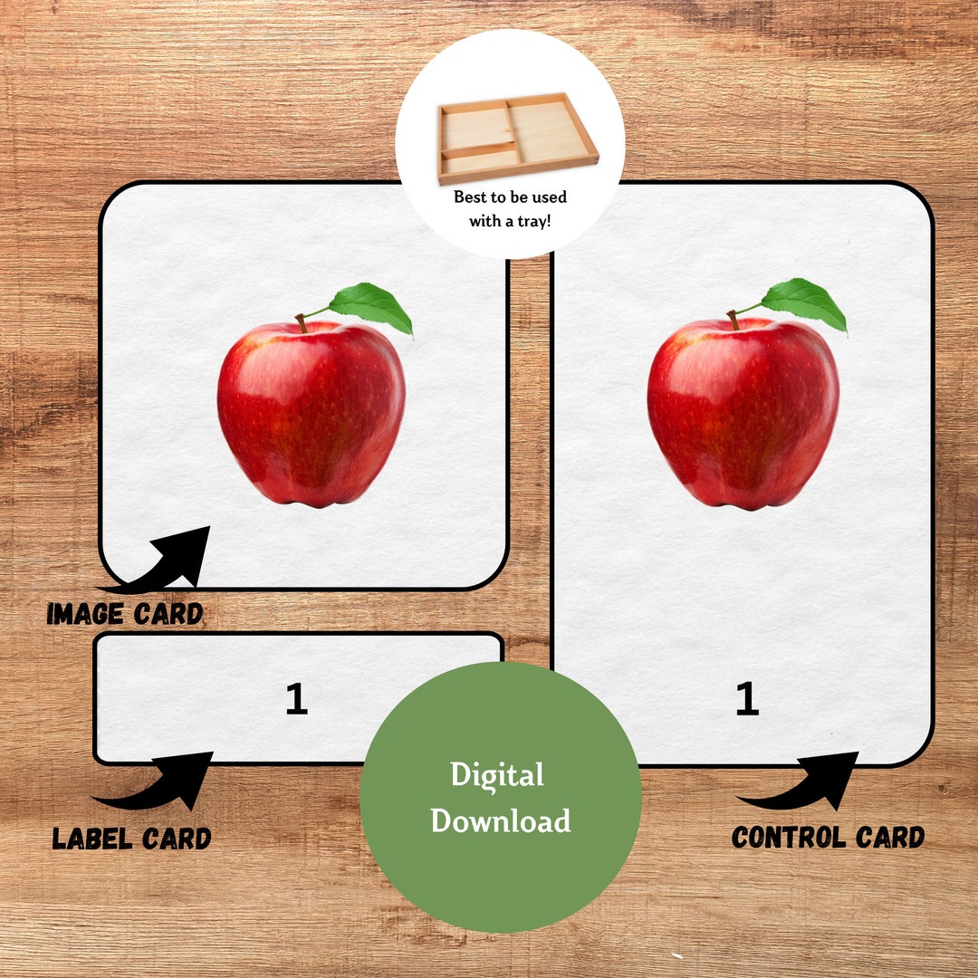 Counting Numbers 1-10, 3 Part Montessori Cards, Preschool Vocabulary ...