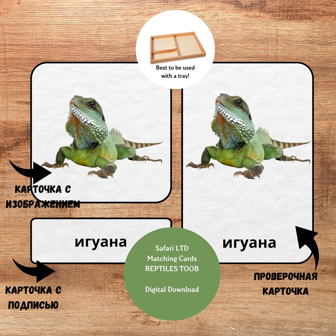 Reptiles, 3 Part Russian Montessori Cards, 4 Printable Safari LTD Toobs ...