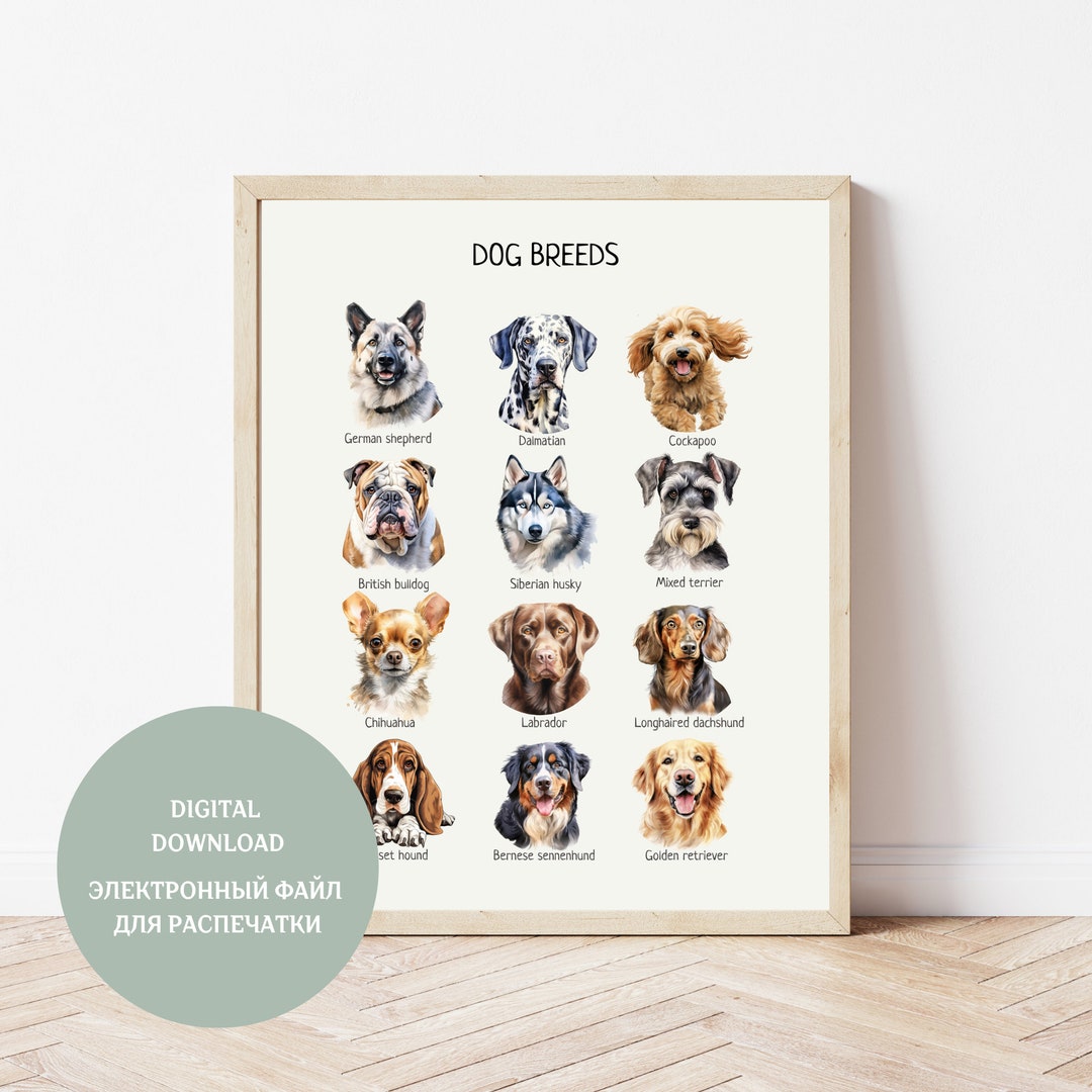 Dog Breeds Educational Poster, Montessori Wall Art, Kids Learning ...