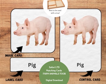 Ocean Animals, 3 Part Montessori Cards, 12 Safari LTD Toobs Coordinates ...