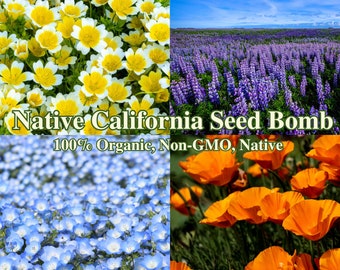 California Wildflower Seed Mix, Native Plants for Pollinators, Easy to ...