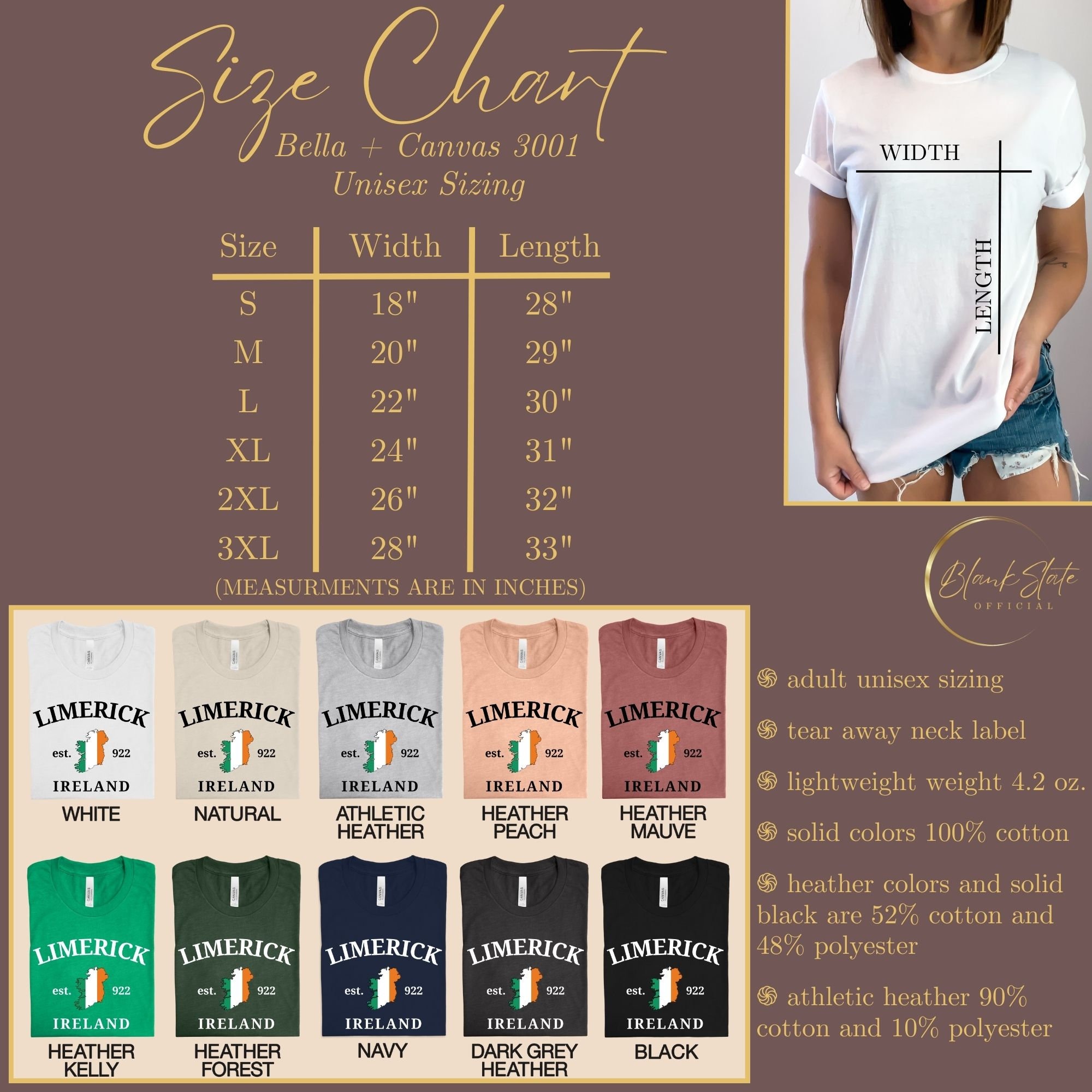 Limerick Shirt, Ireland Map Graphic Tee, Irish Pride Flag T-shirt St ...