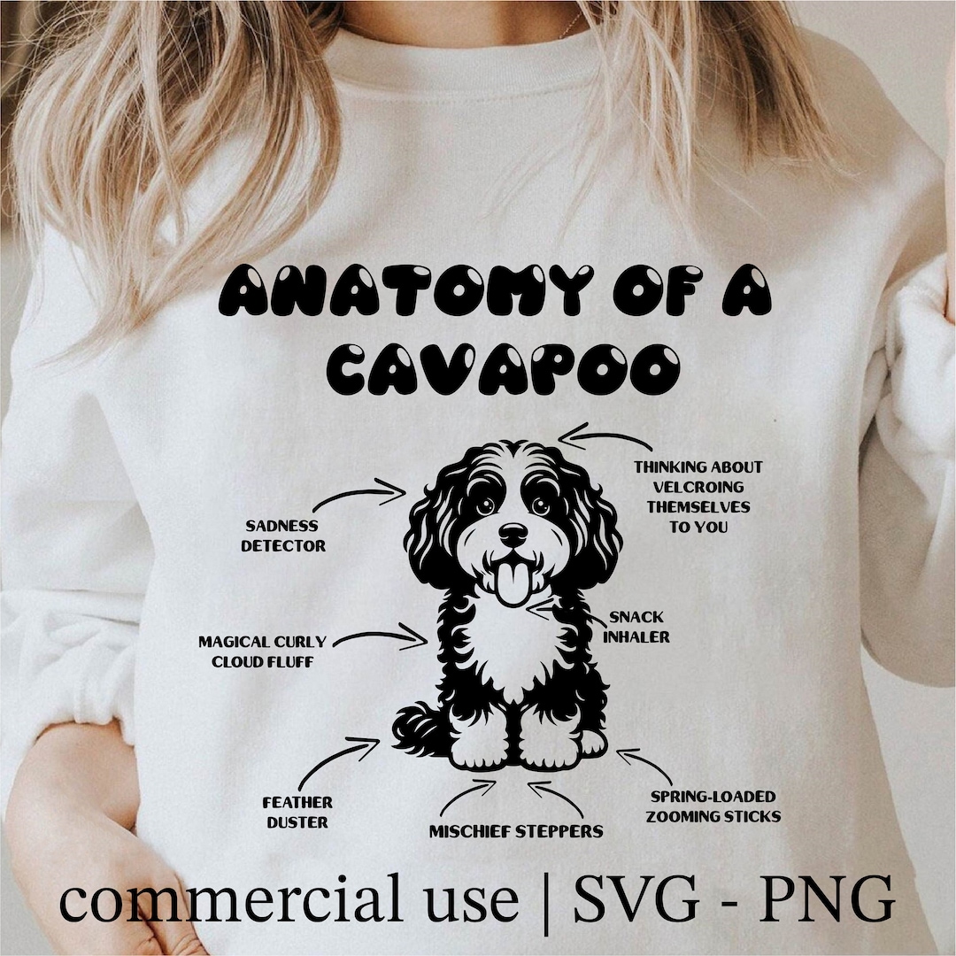 Anatomy of a Cavapoo Svg, Super Cute Cavapoo Dog Png, Cricut Cavapoo ...