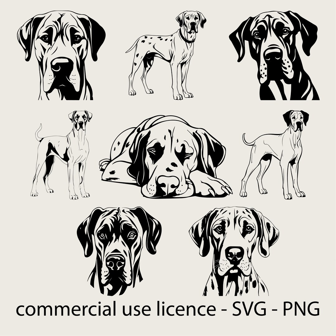 Great Dane Svg Bundle, Cool Great Dane Png, Great Dane Dog Clipart ...