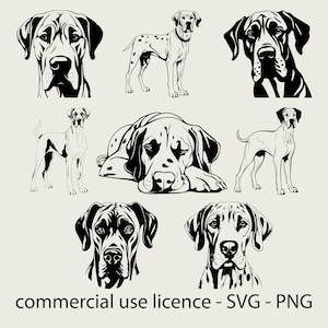 Great Dane Svg Bundle, Cool Great Dane Png, Great Dane Dog Clipart ...