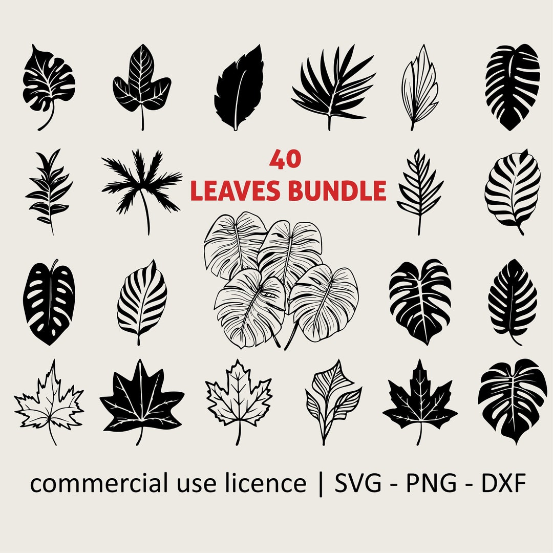 Monstera Leaf Svg Bundle Maple Leaf Svg Bundle Png Canada - Etsy