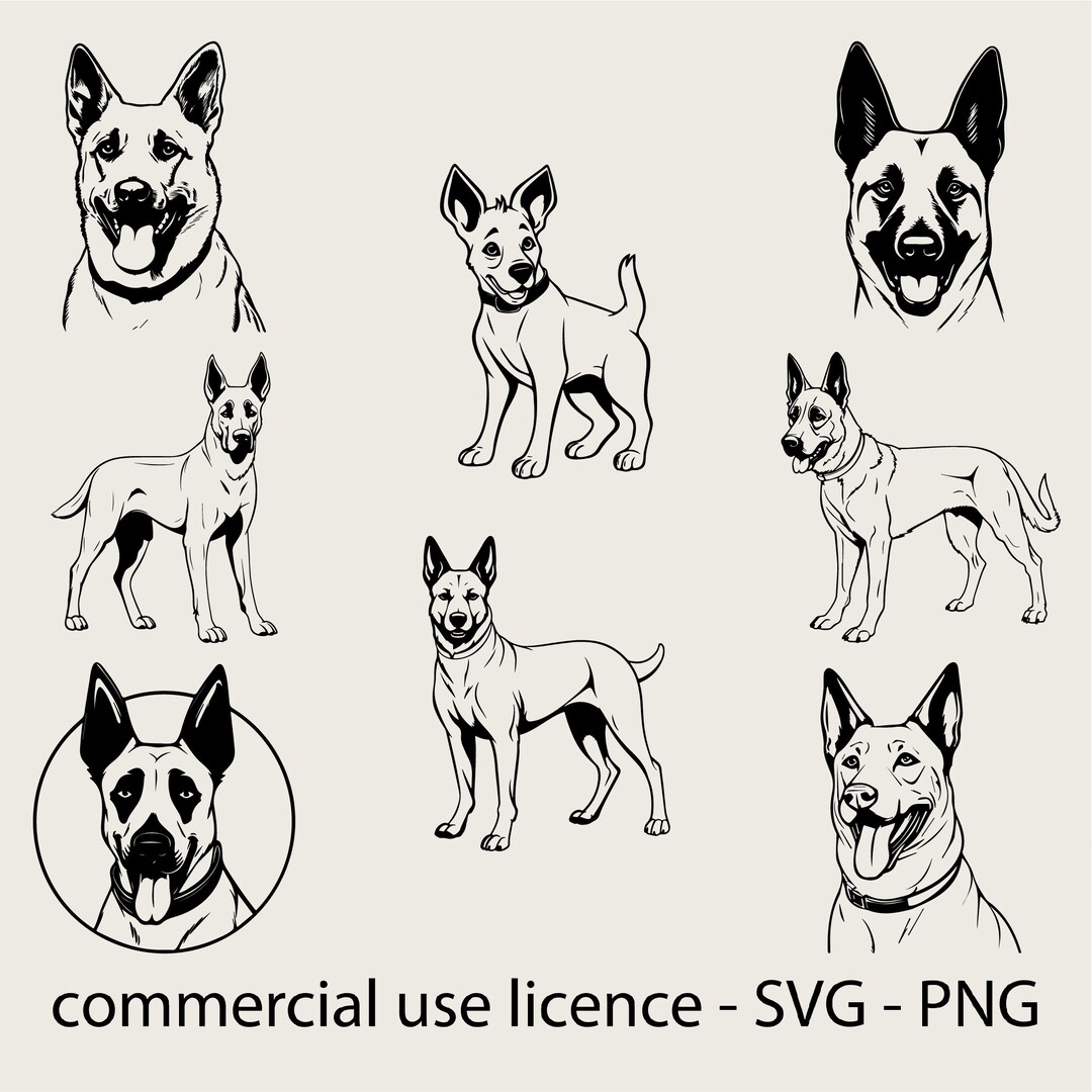 Belgian Malinois Svg Bundle, Cute Belgian Malinois Face Png, Belgian ...