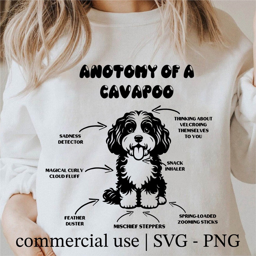 Anatomy of a Cavapoo Svg, Super Cute Cavapoo Dog Png, Cricut Cavapoo ...
