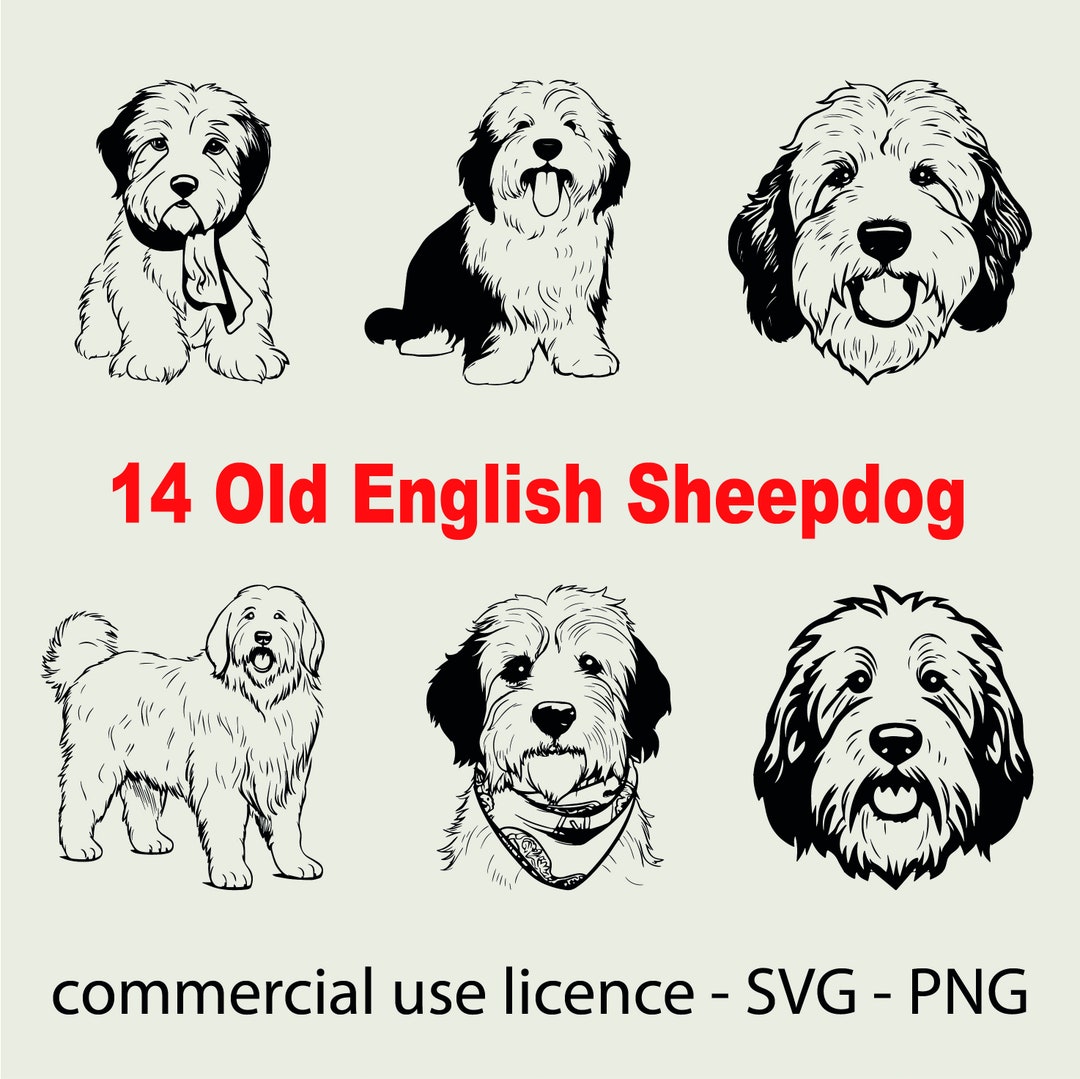 Old English Sheepdog Svg Bundle, Cute Old English Sheepdog Face Png ...