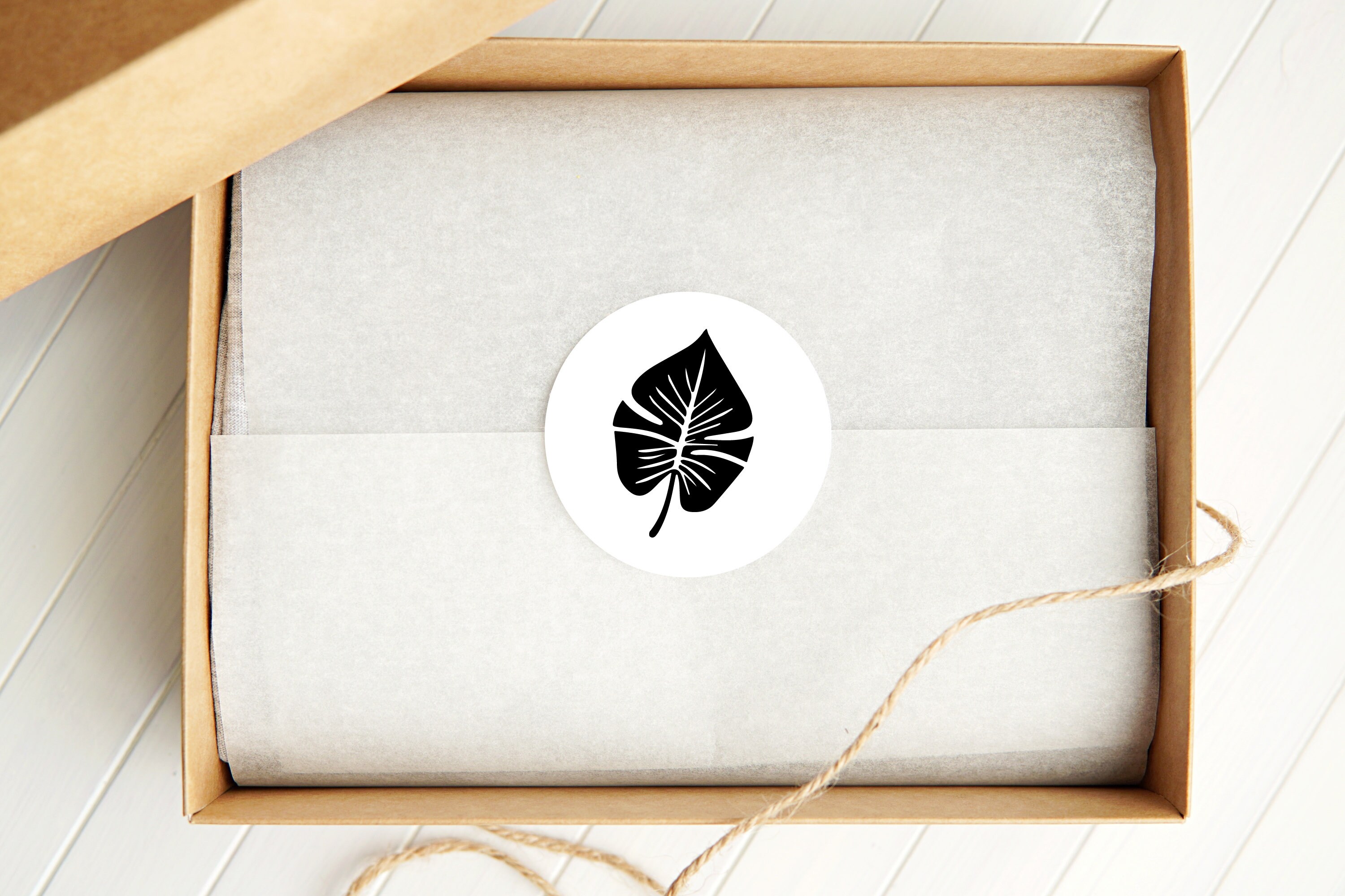 Monstera Leaf Svg Bundle Maple Leaf Svg Bundle Png Canada - Etsy Canada