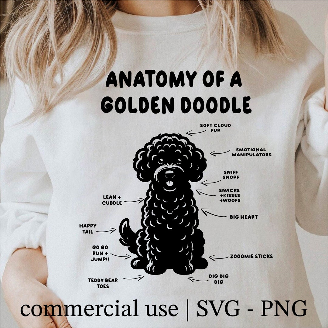 Anatomy of A Golden Doodle Svg, Super Cute Golden Doodle Dog Png ...