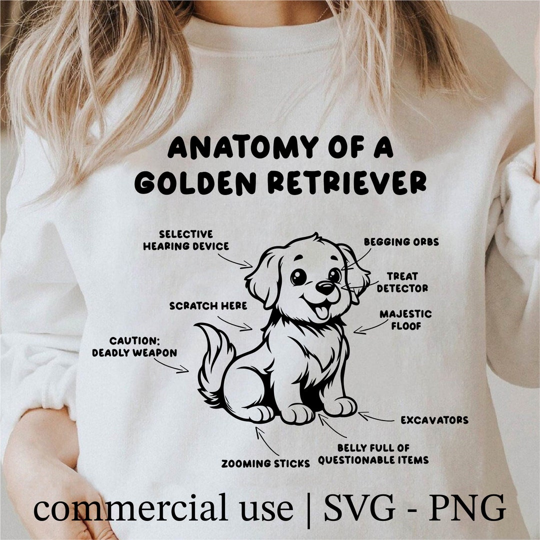 Anatomy of A Golden Retriever Svg, Super Cute Golden Retriever Dog Png, Cricut Golden Retriever ...
