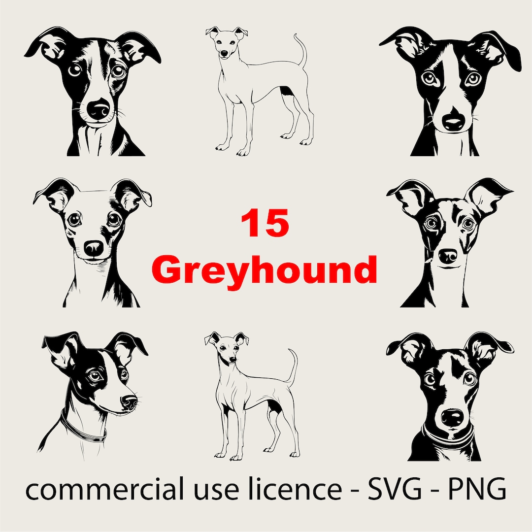 15 Greyhound Svg Bundle, Cool Greyhound Face Png, Greyhound Dog Clipart ...