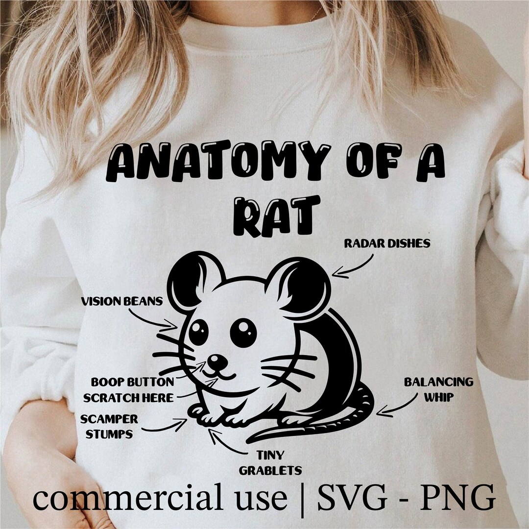 Funny Rat Svg, Anatomy of a Rat Svg, Rat Lover Png, Cricut Rat Svg ...