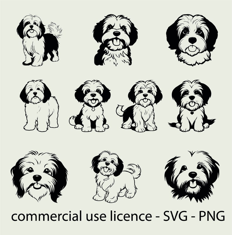 10 Havanese Svg Bundle, Cute Havanese Face Png, Puppy Havanese Dog ...